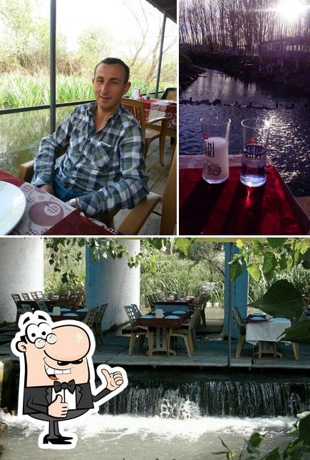 Şelale Restaurant, Turkey, Bahçedere - Restaurant reviews