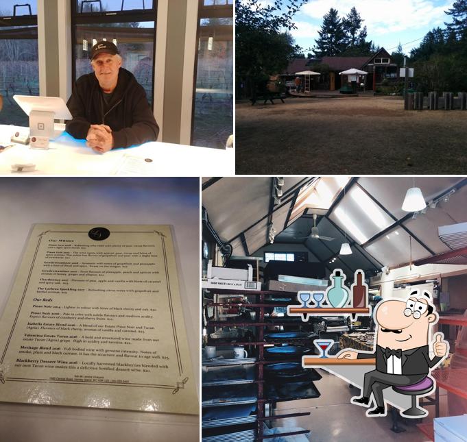 Cardboard House Bakery, Hornby Island - Opiniones del restaurante