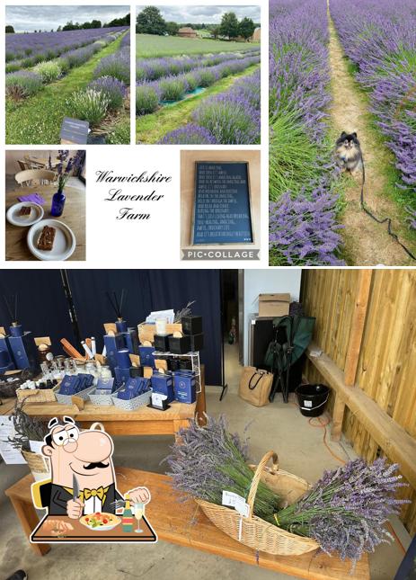 Warwickshire Lavender Farm, Coventry - Restaurant menu, prices and reviews