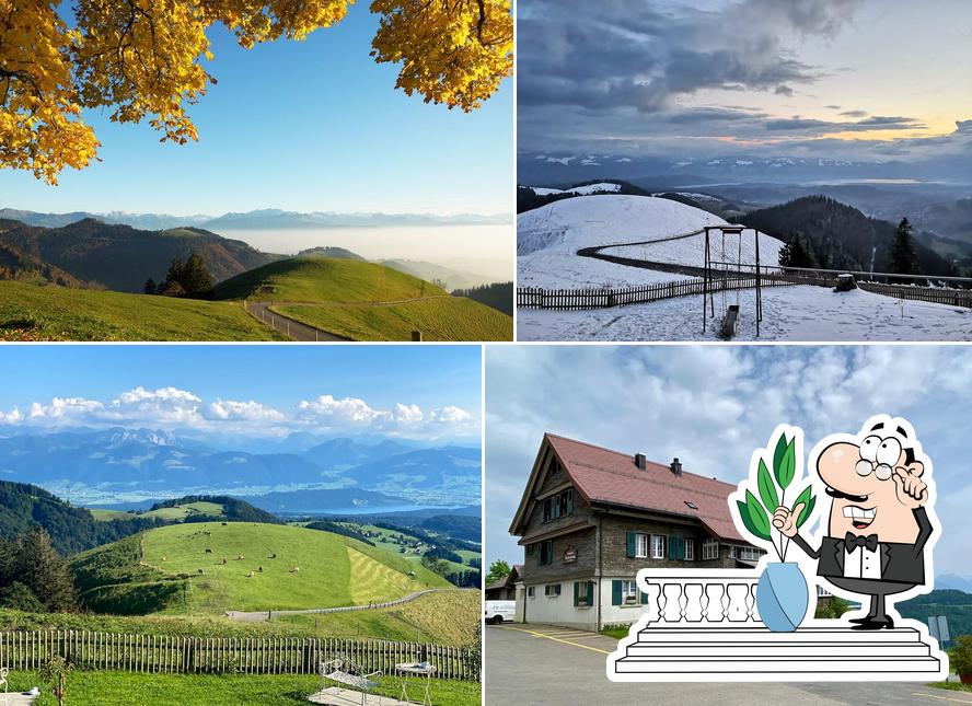 Gasthaus Alp Scheidegg, Wald - Menu e recensioni del ristorante