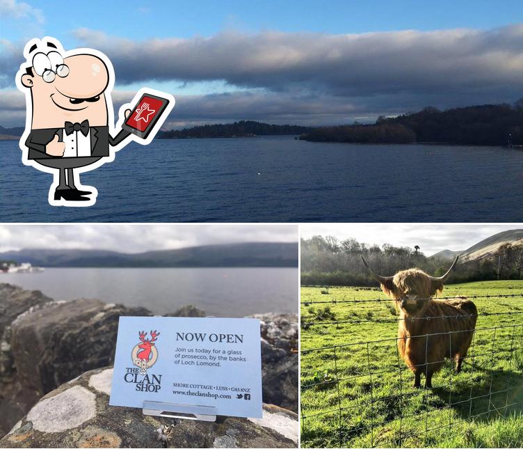 Luss Fish and Chip Co, Luss - Restaurant menu, prices and reviews