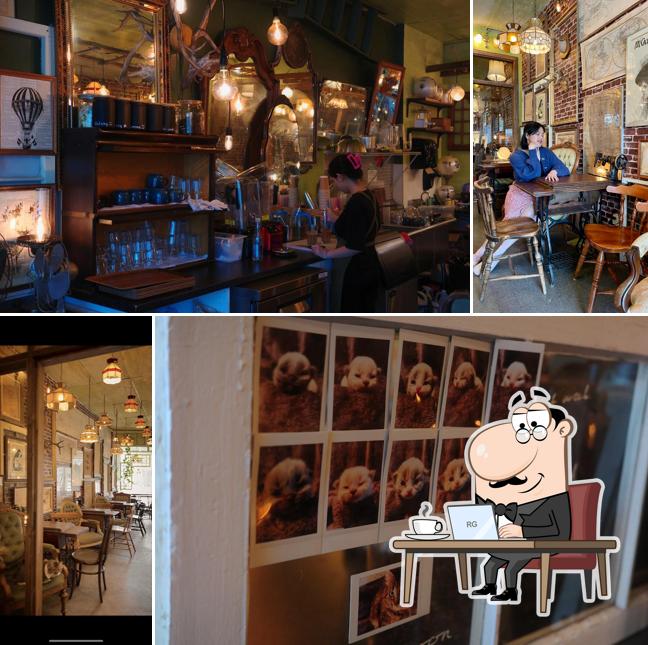 Cleocatra Café - Cat Cafe/ Portage Ave, Winnipeg - Restaurant menu ...