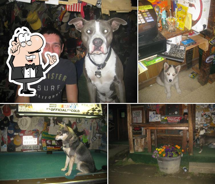 Downtown Chicken, Alaska in Chicken - Restaurant reviews