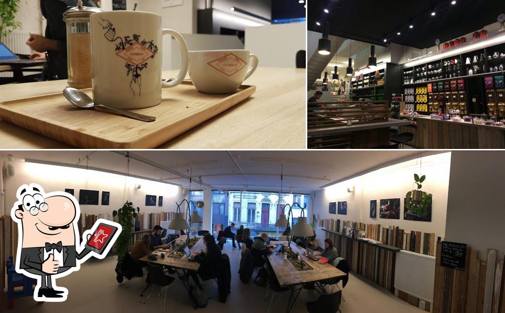 Cuperus Katelijne - Koffiebar & winkel, Antwerp, Sint-Katelijnevest 51 ...