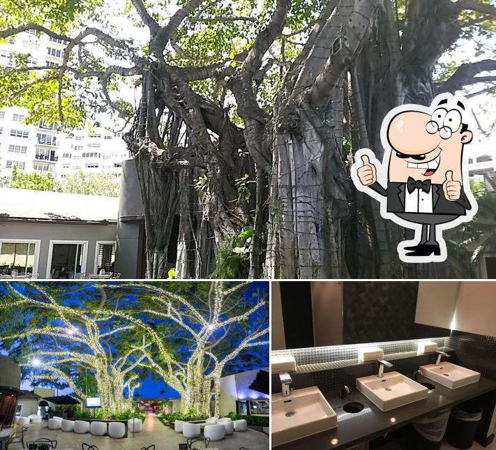 Chima Steakhouse in Fort Lauderdale - Restaurant menu and reviews