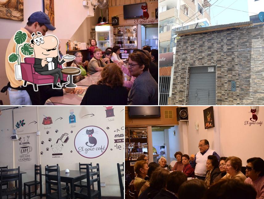 El Gato Café, Chiclayo - Restaurant reviews