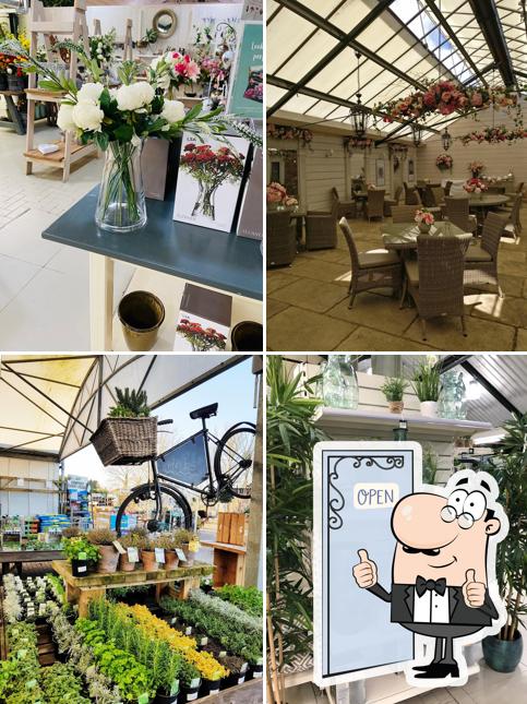 Frosts Garden Centre At Willington in Bedford - Restaurant reviews