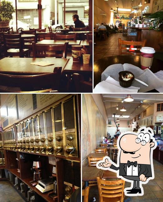 Chestnut Street Coffee Roastery, 2331 Chestnut St in San Francisco ...
