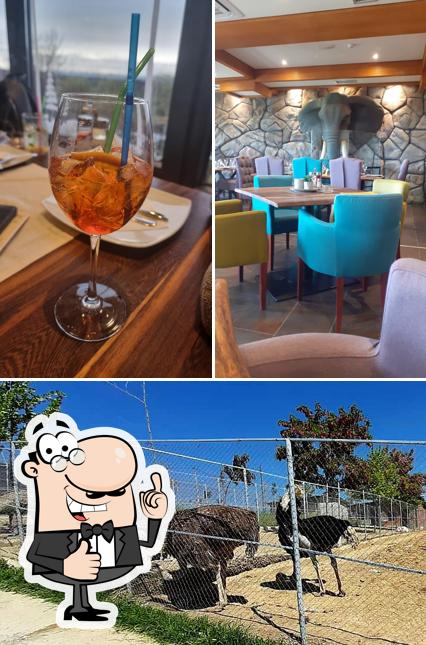 Restoran, zoo vrt i prenoćište Mišić - VRANJE - Restaurant menu, prices ...