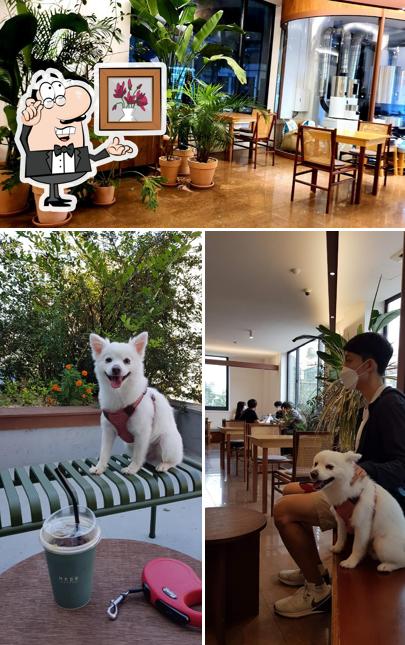 헤베커피 cafe, Seoul - Restaurant reviews