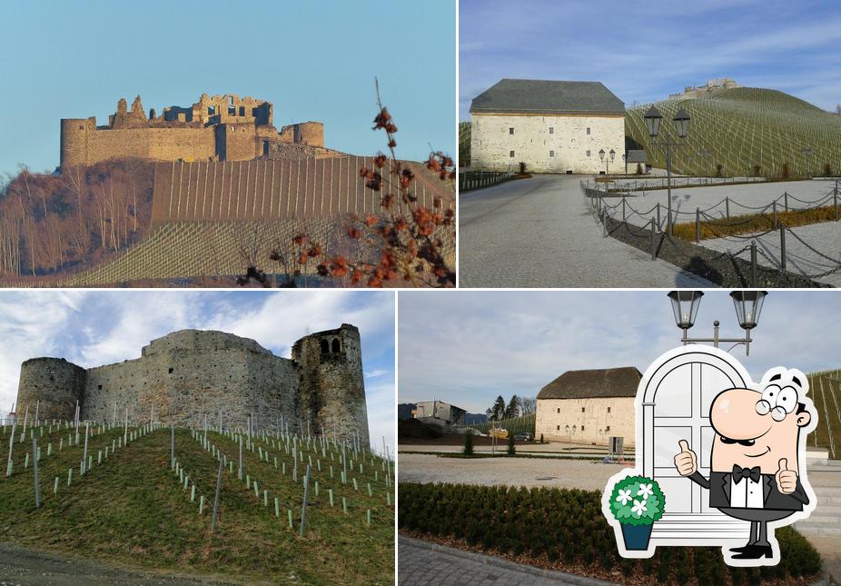 Weingut Taggenbrunn restaurant, Sankt Veit an der Glan ...