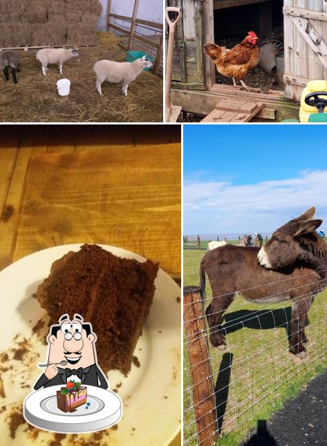 Doniford Farm Park, Watchet - Restaurant menu, prices and reviews