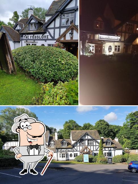 Foxglove in Huddersfield - Restaurant reviews