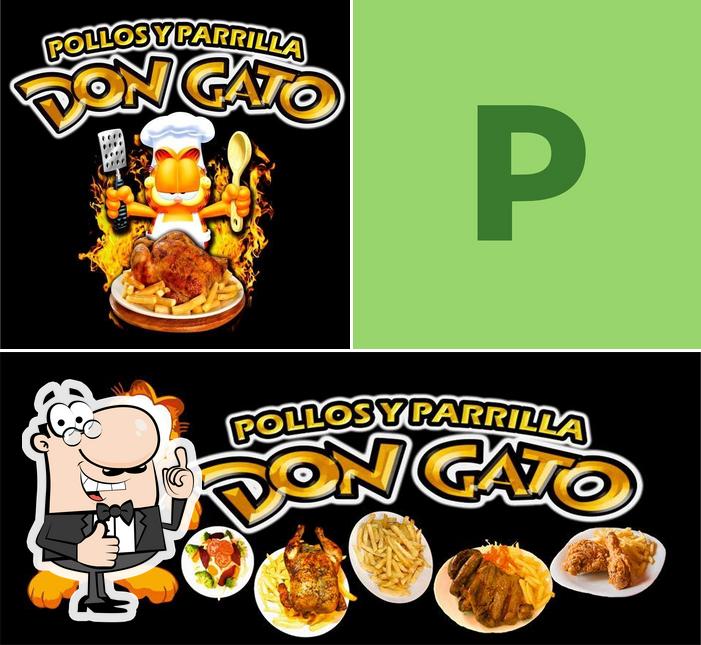 Pollos y Parrillas DON GATO, Arequipa - Restaurant reviews
