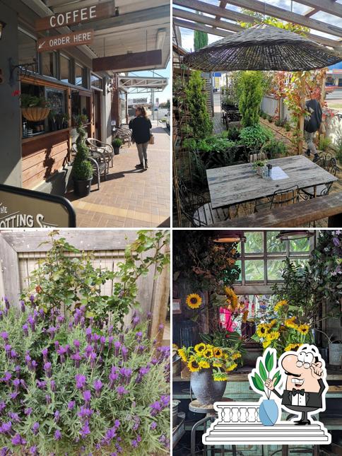 The Potting Shed Tenterfield in Tenterfield - Restaurant menu and reviews