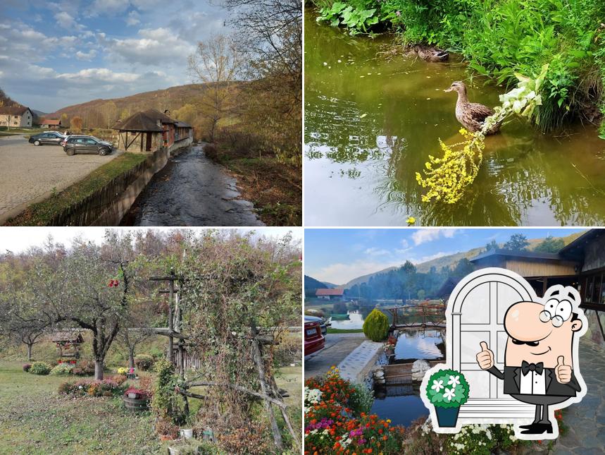 Stari Bunar, Graševci - Restaurant menu, prices and reviews