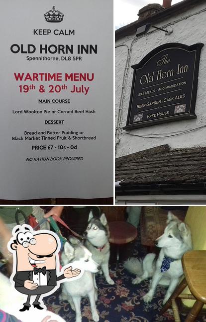 The Old Horn Inn, Leyburn - Restaurant menu, prices and reviews