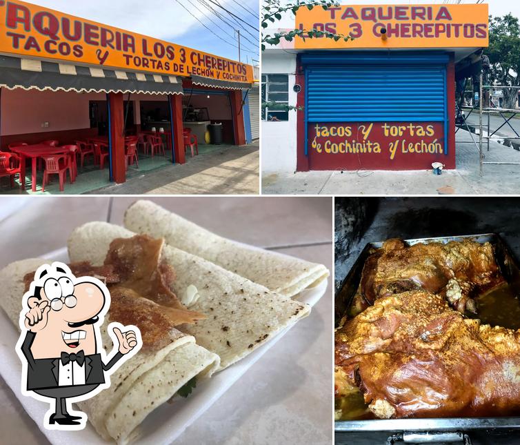 Tortas cochinita, Chetumal - Menú del restaurante, precios y reseñas