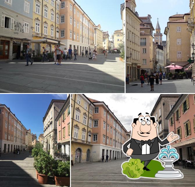 Adoro Caffè Cavana cafe, Trieste - Restaurant reviews