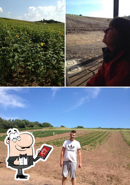 Kinver Edge Farm Shop in Kinver - Restaurant reviews