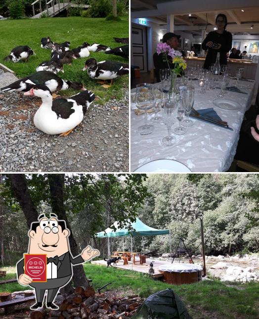 Woldstad Gard restaurant, Isfjorden - Restaurant reviews