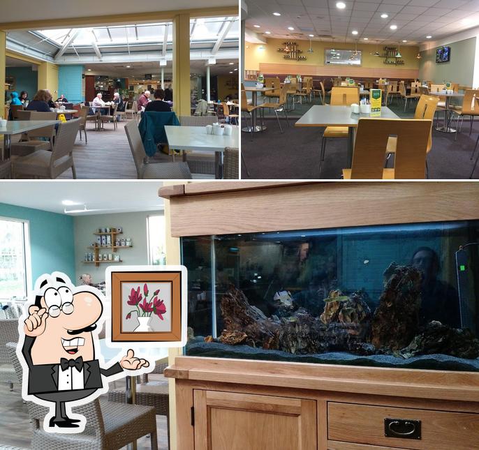 Dobbies Garden Centre Perth, Perth - Restaurant menu, prices and reviews