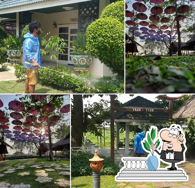 Tree & Tide Riverside Cafe, Bang Len - Restaurant reviews