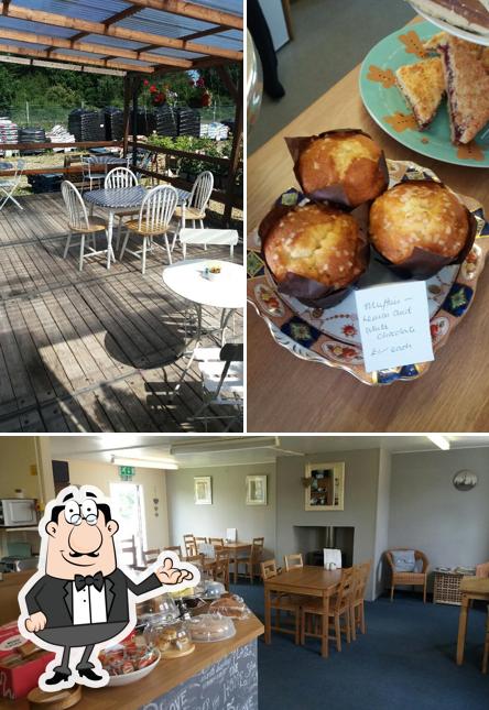 Daisy Tea Room in Dereham