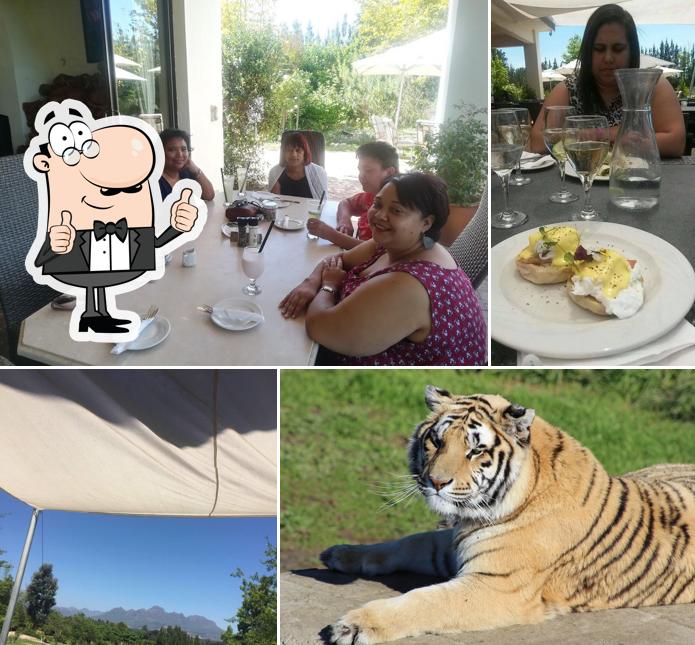 Plaaslik Venue & Restaurant @ Vredenheim, Stellenbosch - Restaurant ...