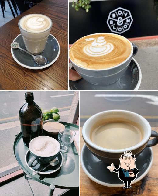 Boy & Bloom in Adelaide - Restaurant reviews