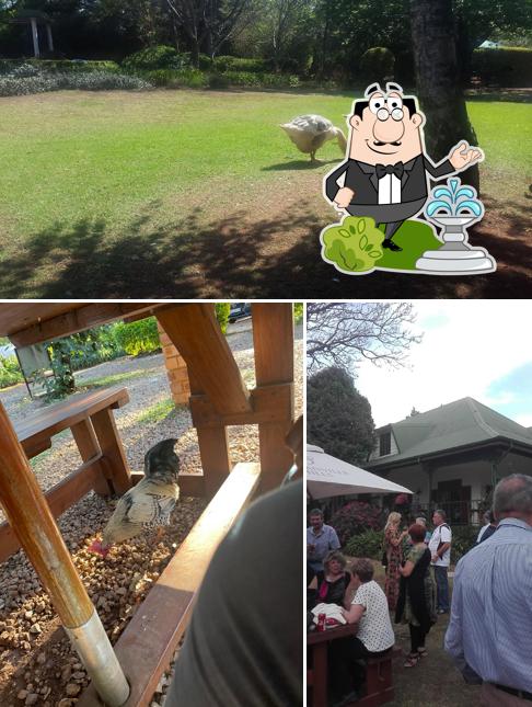 Rock Cod Country Restaurant, Roodepoort - Restaurant menu and reviews