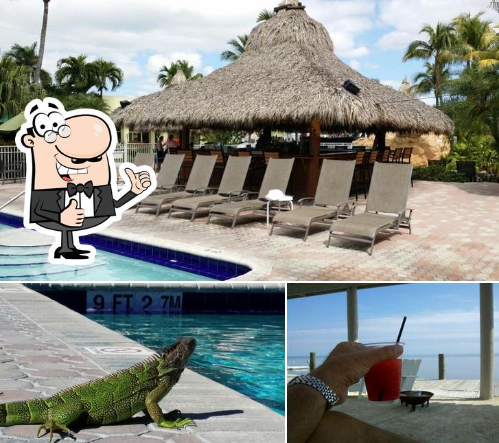 Holiday inn pool bar, Key Largo - Restaurant menu, prices and reviews