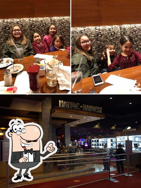 Native Harvest Buffet in USA - Restaurant menu and reviews