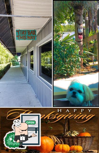 Flippin' Mullet Sports Bar, Cortez - Restaurant menu, prices and reviews