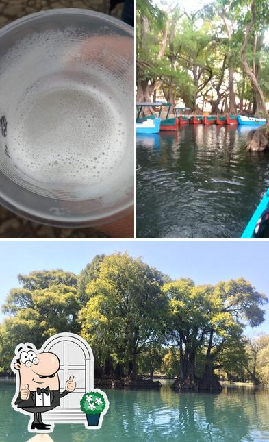 Agua Azul Restaurante, Tangancícuaro de Arista - Opiniones del restaurante