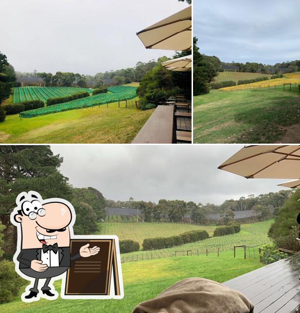 Foxeys Hangout, Red Hill - Restaurant menu, prices and reviews