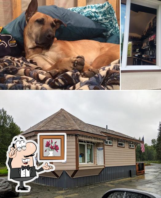 Jana's Jumpin' Java, Mile Post 102, 38628 S Parks Hwy in Talkeetna ...