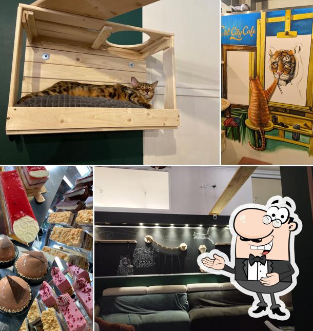 Cat City Cafe, Szeged - Restaurant reviews