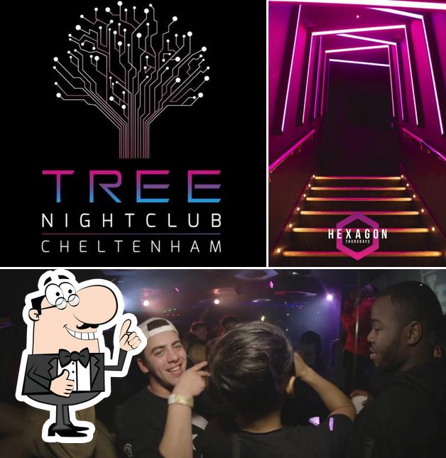 Tree Night club cheltenham in Cheltenham