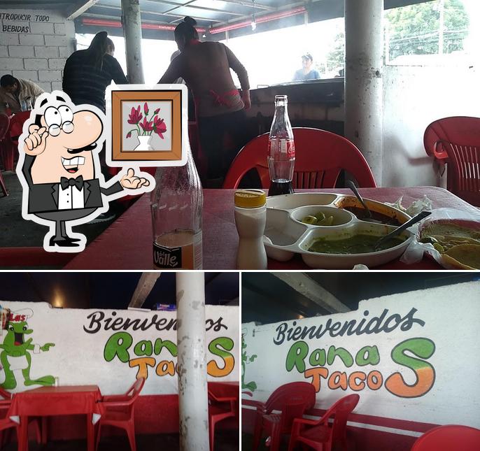 Tacos Las Ranas restaurant, Chapultepec - Restaurant reviews