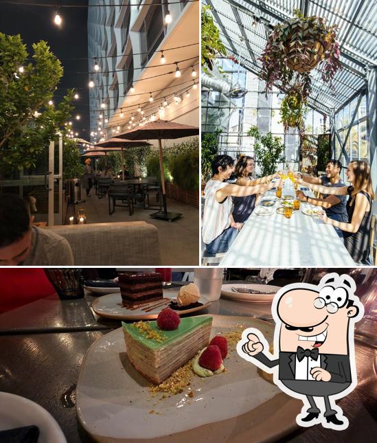 Openaire, Los Angeles - Restaurant menu, prices and reviews