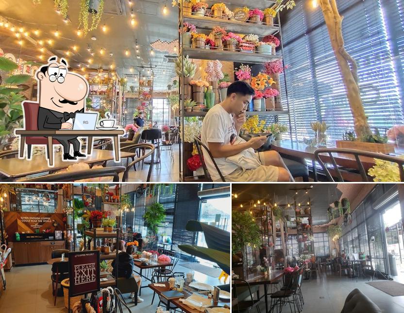 Coffee Project Cabanatuan, Cabanatuan City, Cabanatuan-Papaya Road ...