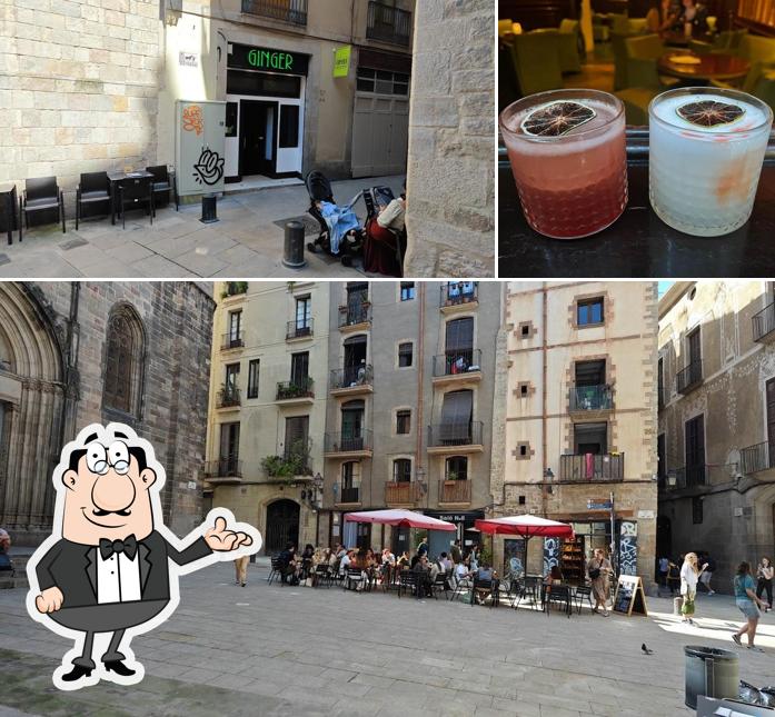 Pub Ginger 43 in León - Restaurant reviews