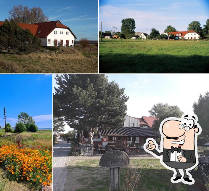 Top 5 Restaurants in Insel Hiddensee, Oktober 2025 - Restaurant Guru