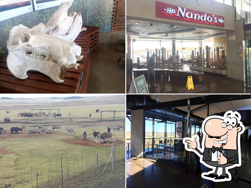 Nando's Alzu (Middelburg) - Restaurant menu, prices and reviews