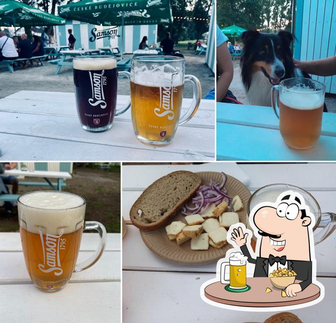 Pivovarská zahrada - Originál Samson pub & bar, Ceske Budejovice ...
