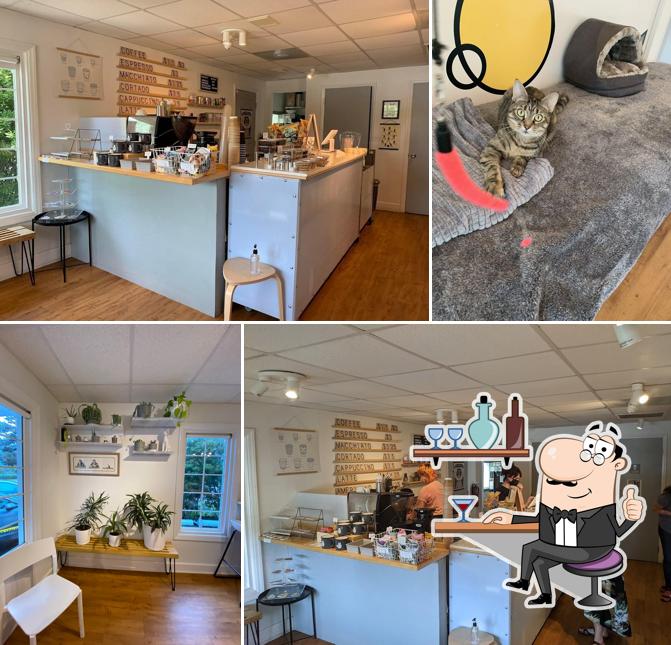 Purr Cup Cafe, Raleigh - Restaurant menu, prices and reviews