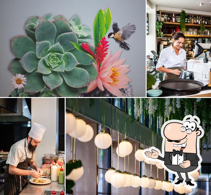 Goldfinch Restaurant and Street Cafe in Brisbane City - Restaurant menu ...