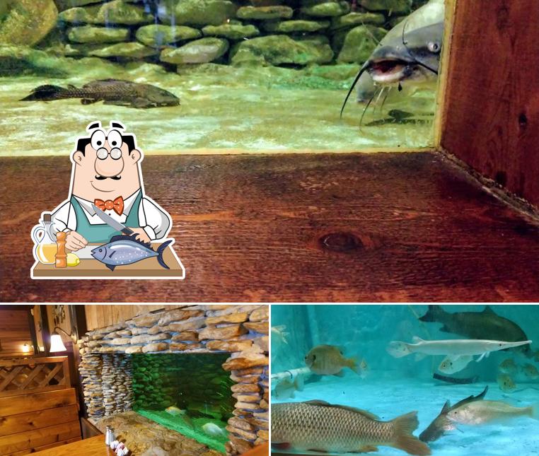 Fin Inn in Grafton - Restaurant menu and reviews
