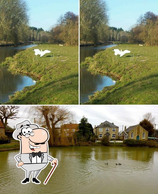 The George and Dragon, Wereham - Restaurant menu, prices and reviews